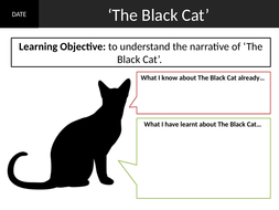 Edgar Allan Poe's - The Black Cat - 5 Lesson Mini Scheme - Reading ...