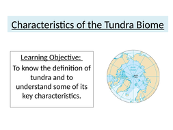 KS3 Characteristics of the Tundra biome | Teaching Resources