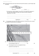 AQA Magnification Calculations | Teaching Resources