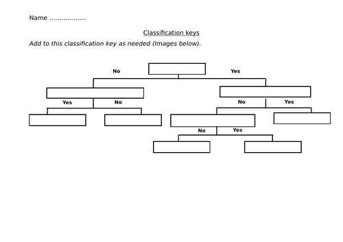 Science Living Things and Their Habitats Year 6 Classifying Plants ...