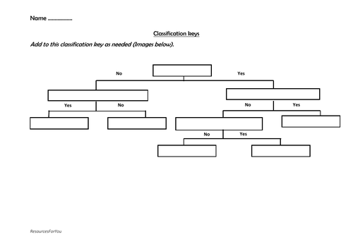 Science Living Things and Their Habitats Year 6 Classifying Plants ...