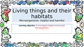 Science Year 6 Microorganisms helpful or harmful? Mould Experiment ...