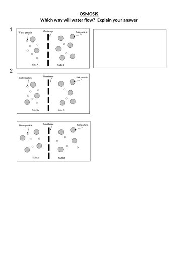 Osmosis Required Practical OFSTED LESSON (Outstanding) | Teaching Resources