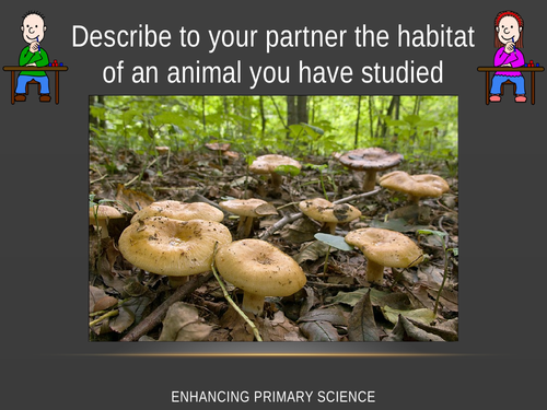 COMPARING HABITATS AND ZOO DEBATE | Teaching Resources