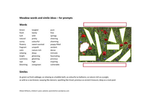 MEADOW - Picture-Writing | Teaching Resources