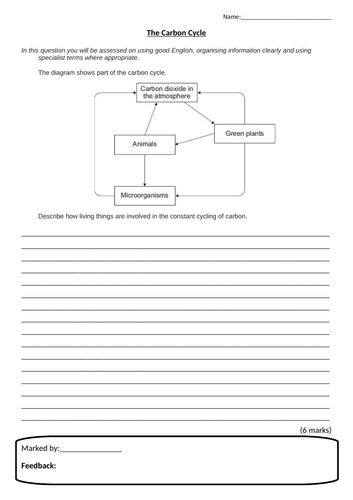 KS4 AQA GCSE Biology (Science) Carbon Cycle Lesson | Teaching Resources