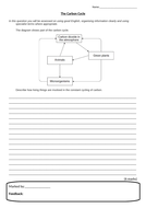 KS4 AQA GCSE Biology (Science) Carbon Cycle Lesson | Teaching Resources