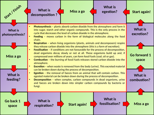 KS4 AQA GCSE Biology (Science) Carbon Cycle Lesson | Teaching Resources