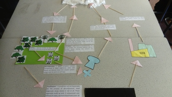 KS4 AQA GCSE Biology (Science) Carbon Cycle Lesson | Teaching Resources