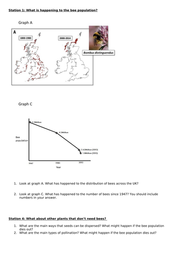 Pollination / bees lesson | Teaching Resources