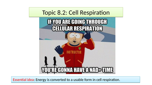IB Biology HL Unit 8.2: Cell Respiration | Teaching Resources
