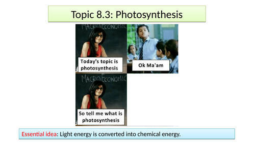 IB Biology HL Unit 8.3: Photosynthesis | Teaching Resources