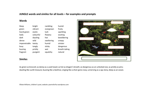 JUNGLE - Picture-Writing | Teaching Resources