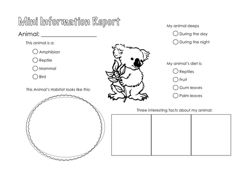 Koalas Reading Comprehension and Response Activities | Teaching Resources