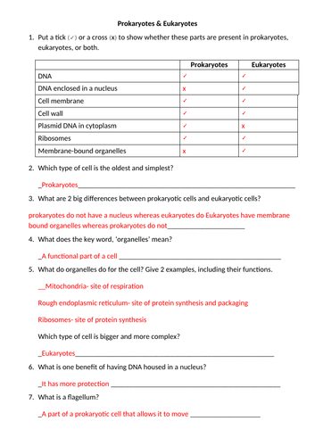 CIE Biology AS Cell structure lessons | Teaching Resources