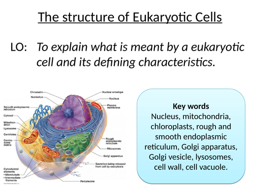 CIE Biology AS Cell structure lessons | Teaching Resources