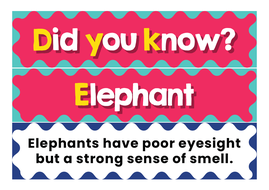 Zoo Animal KS1 Fact Posters – Writing Inspiration | Teaching Resources