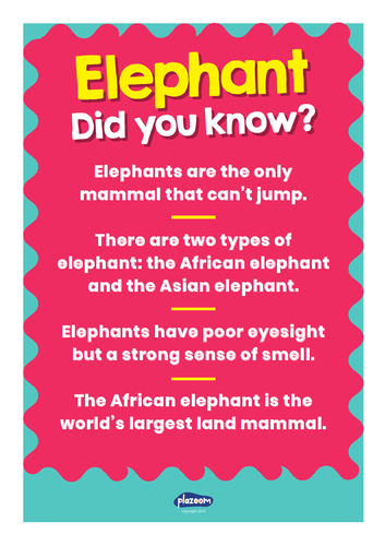 Zoo Animal KS1 Fact Posters – Writing Inspiration | Teaching Resources