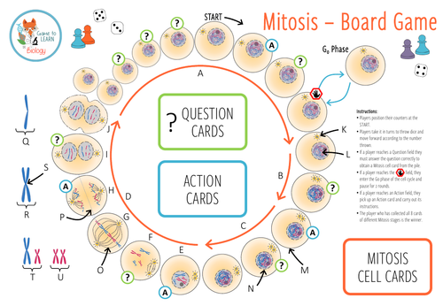 Mitosis - Board Game (KS4/5) | Teaching Resources