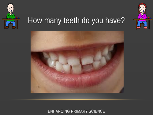 TEETH | Teaching Resources