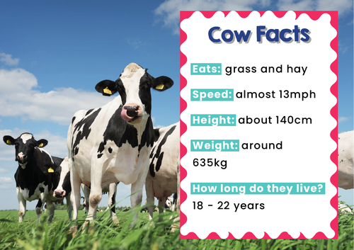 Farm Animal KS1 Fact Posters - Writing Inspiration | Teaching Resources