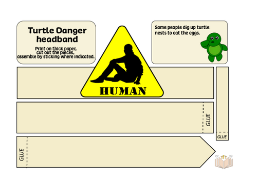 Turtles In Danger Game | Teaching Resources