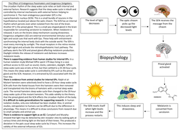 AQA Biopsychology A Level Psychology Revision Sheer | Teaching Resources