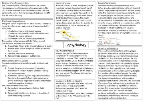 AQA Biopsychology A Level Psychology Revision Sheer | Teaching Resources