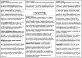 AQA Biopsychology A Level Psychology Revision Sheer | Teaching Resources