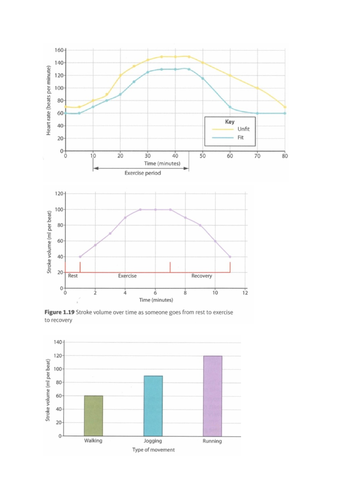 Short and Long-term Effects of Exercise - Edexcel GCSE PE (9-1 ...