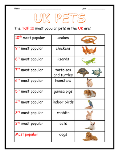 PETS - Activity Booklet | Teaching Resources