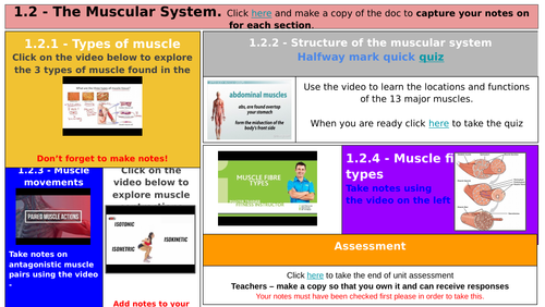 NCFE VCERT NEW SPEC UNIT 1 MUSCULAR SYSTEM REVISION/INDEPENDENT ...