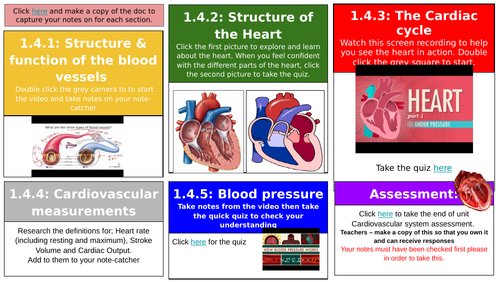 NCFE VCERT NEW SPEC UNIT 1 CARDIOVASCULAR SYSTEM REVISION/INDEPENDENT ...
