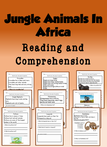 Jungle Animals in Africa Reading and Comprehension | Teaching Resources