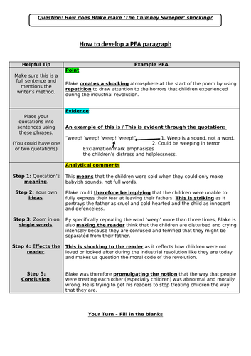 Differentiated PEA/PEE Planner | Teaching Resources