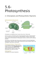 OCR A Level Biology - Photosynthesis notes | Teaching Resources