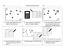 Quadrat method KS3 SEN | Teaching Resources
