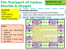 A Level Biology Transport of Oxygen & Carbon Dioxide Lesson | Teaching ...