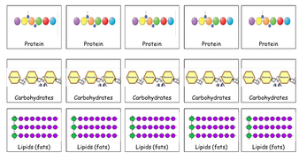 KS3 digestion topic - enzymes introduction LOW ABILITY | Teaching Resources