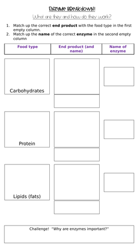 KS3 digestion topic - enzymes introduction LOW ABILITY | Teaching Resources