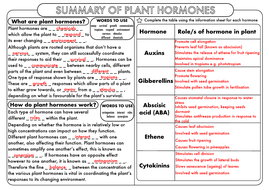 A Level Biology: Plant Responses (Plant Hormones) | Teaching Resources