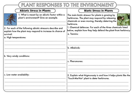 A Level Biology: Plant Responses (Plant Hormones) | Teaching Resources