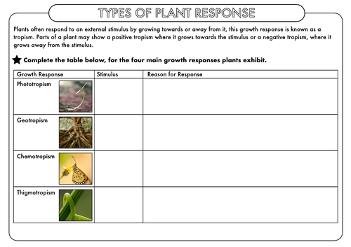A Level Biology: Plant Responses (Plant Hormones) | Teaching Resources