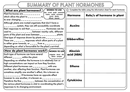 A Level Biology: Plant Responses (Plant Hormones) | Teaching Resources