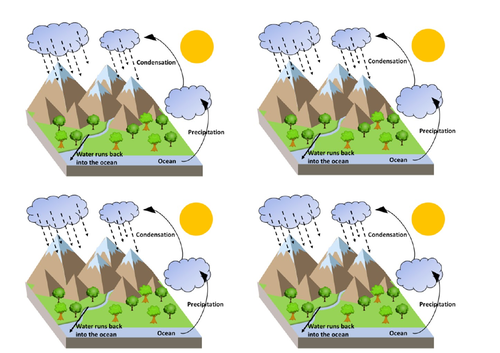 KS4 AQA GCSE Biology (Science) Water Cycle Lesson & Activities ...