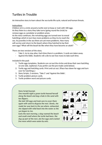 Turtles in Trouble! An interactive story | Teaching Resources
