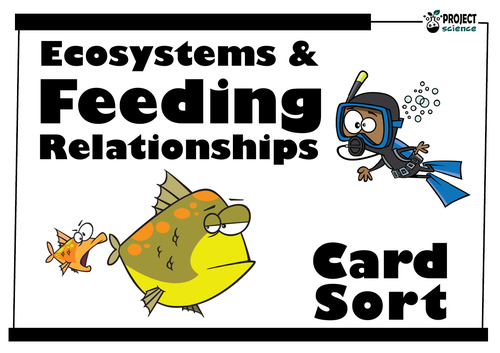 Ecosystems and Feeding Relationships Card Sort | Teaching Resources