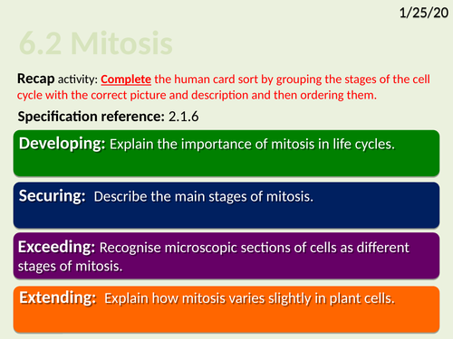 OCR Biology A- Chapter 6 Cell Division | Teaching Resources