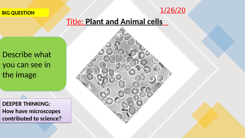 Cells-KS3-complete bundle | Teaching Resources