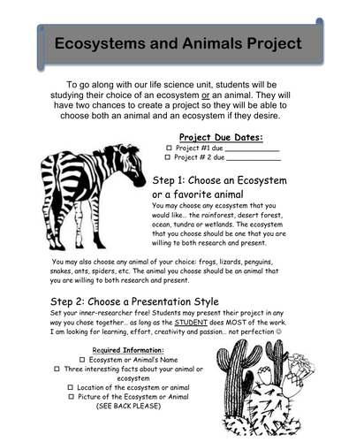 Animals and Ecosystems Project | Teaching Resources